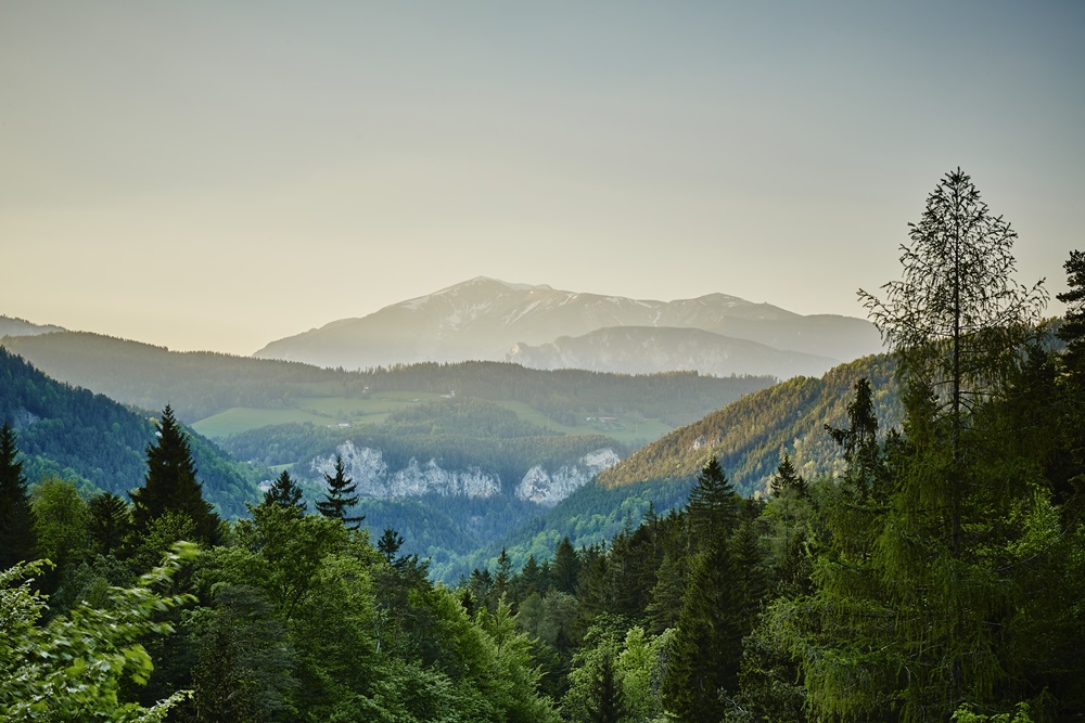 In den Wiener Alpen inspiriert sommerfrische Kultur - Meldungen 2019