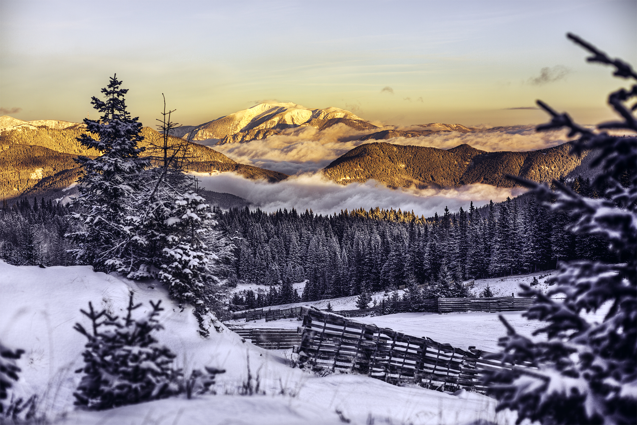 Winter - Wann möchten Sie urlauben?